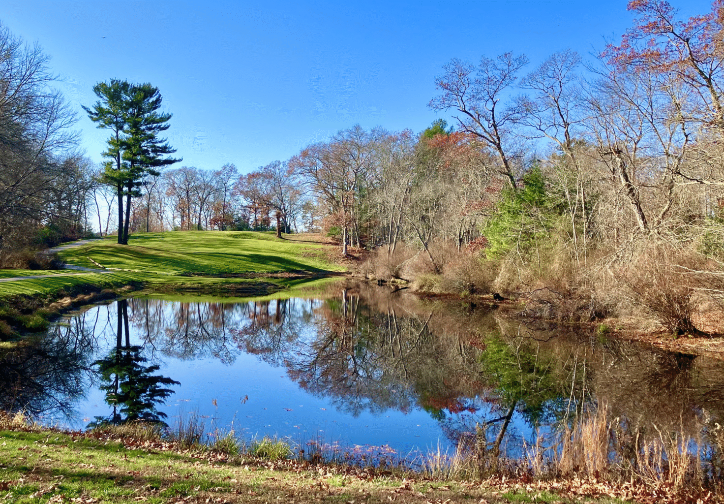 Public Golf RI | Laurel Lane Country Club